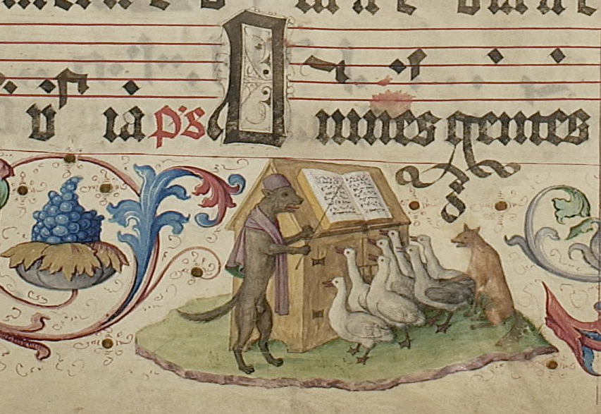 Interesting Pretties: The Geese Book