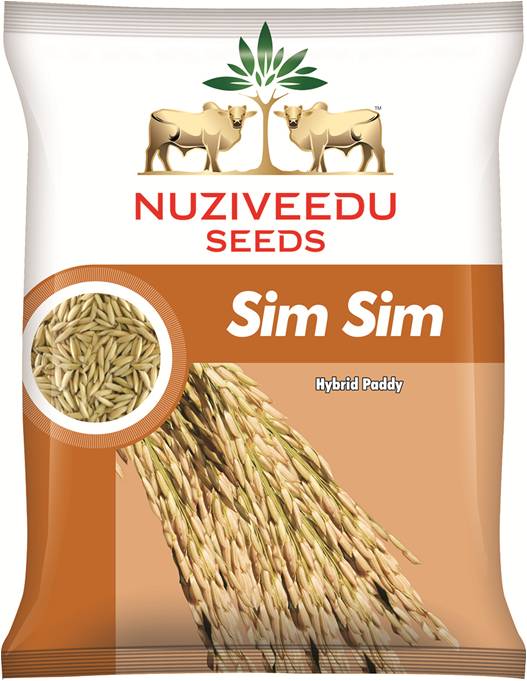 NSL Products: October 2018