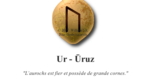 Rune du jour : "Ur - Ūruz"
