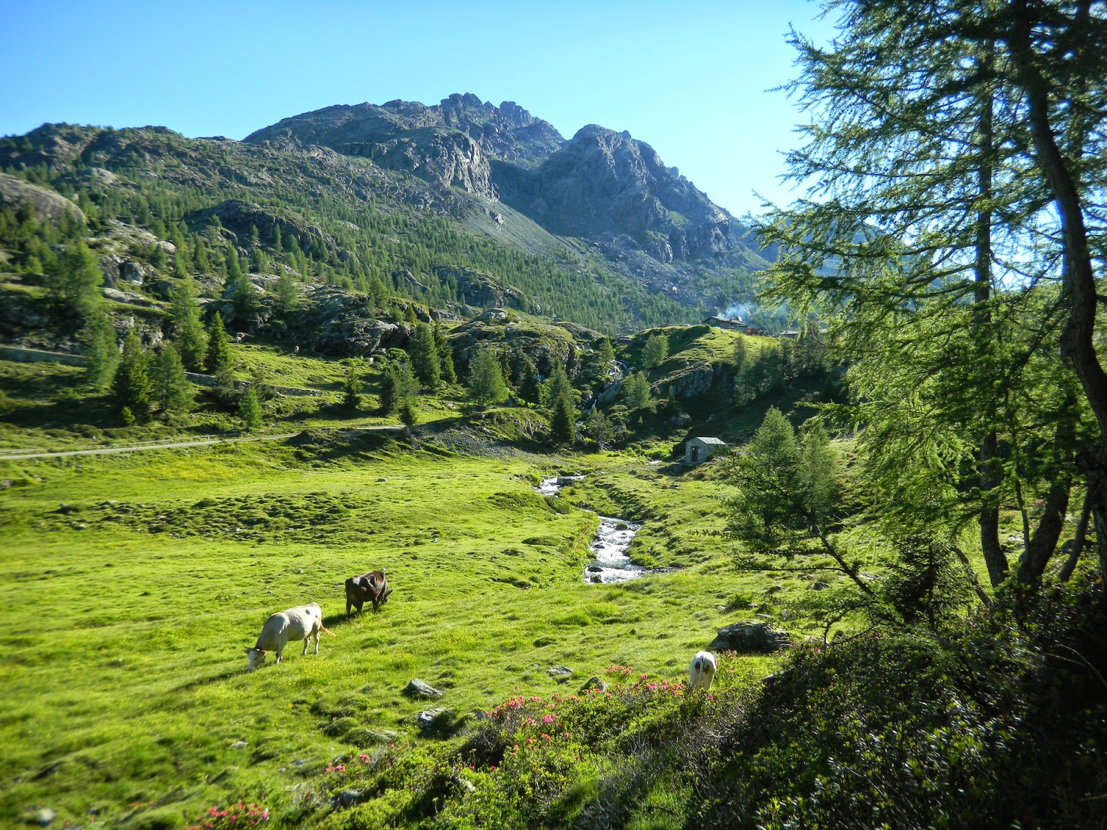 Piccoli Sentieri: Info utili dalla rete - Sicuri sul sentiero
