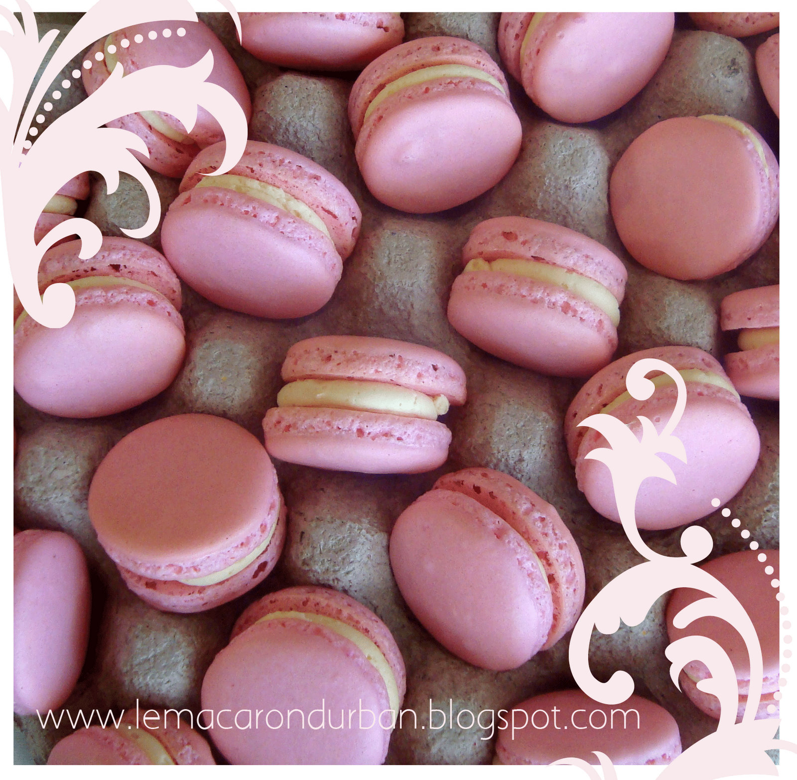 {LeMacaron} south africa