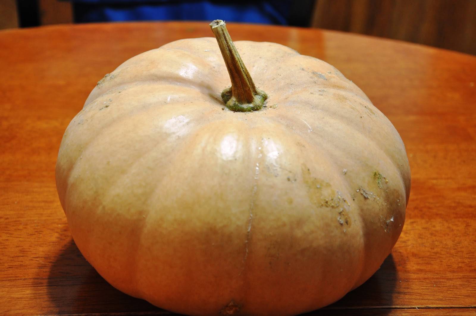 Hofstra Student Life: Taste of Brazil