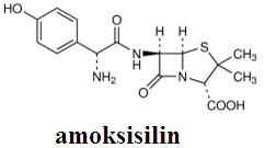 SANAGORY: Amoksisilin