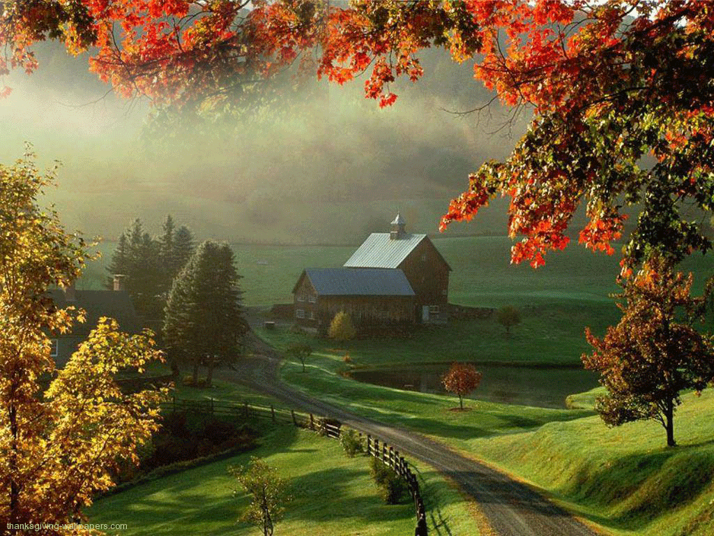 Farms House, Fall Beautiful, Fall Leaves, Fall Pictures, Autumn Scenery ...