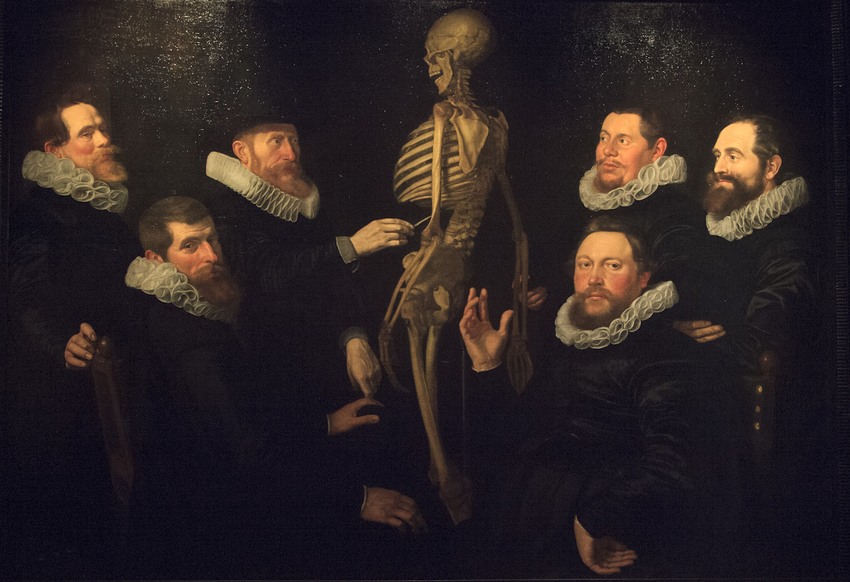 Morbid Anatomy: Public Dissections, Frederik Ruysch and the Theatrum ...