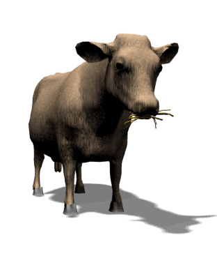 Praktikum Penyuluhan D5 2014: Limbah Kelapa Sawit Sebagai Pengganti ...