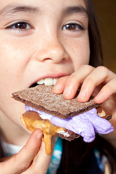 The Cooking Photographer: Beevil the Evil Returns with More S'mores