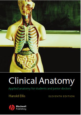 the expert nursing student: CLINICAL ANATOMY