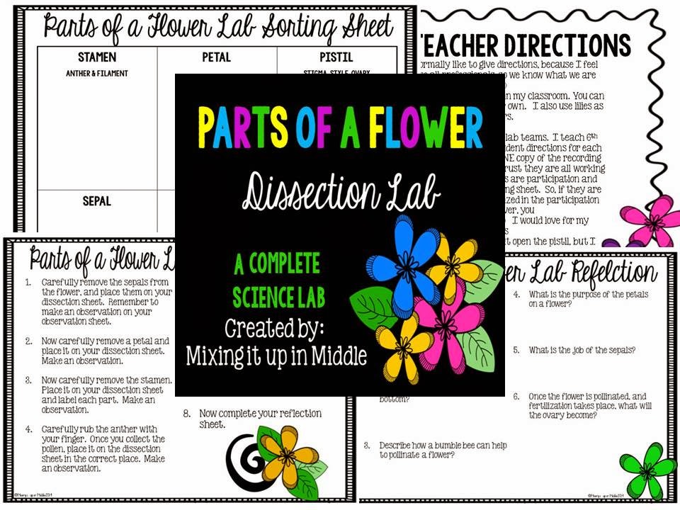 Mixing it up in Middle! : Five for Friday! Games, Science Labs and More!