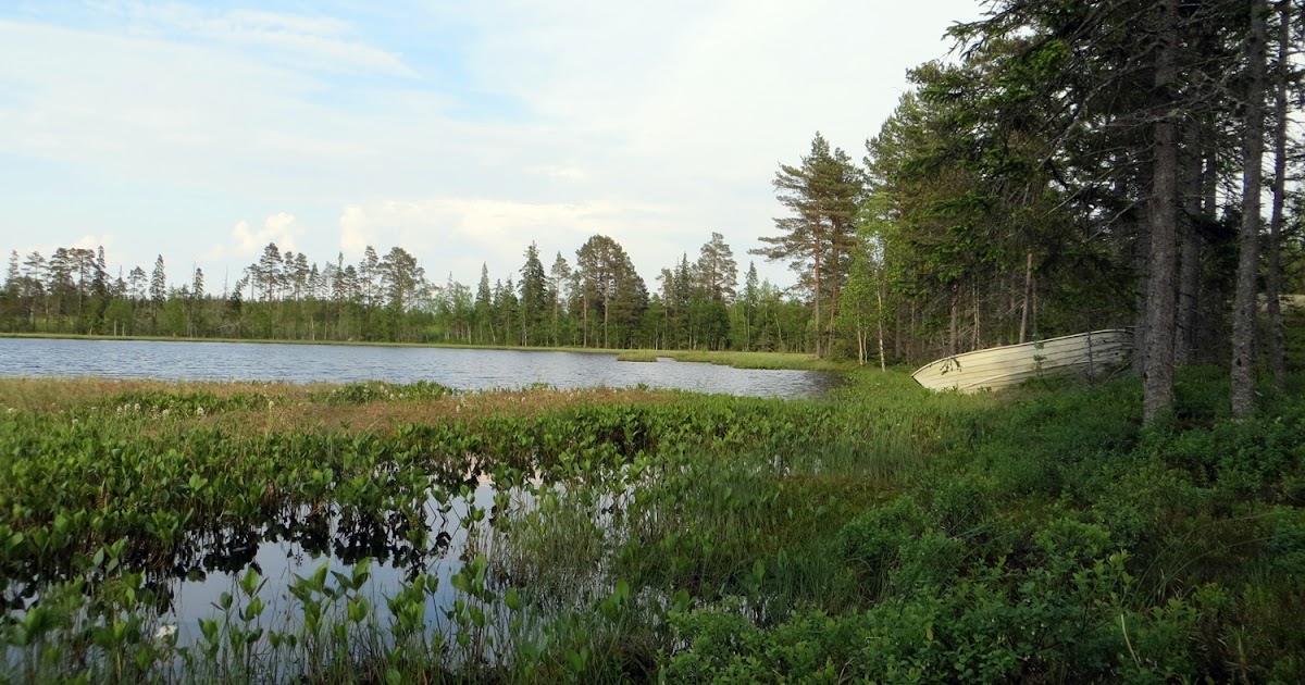 Terränglöpning i Bosund