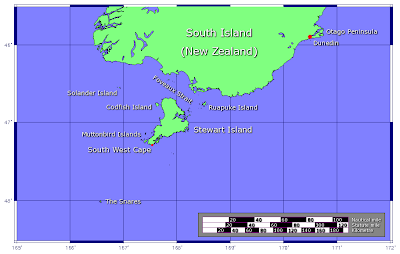 Debi Shearwater's Journeys: THE SNARES or TINI HEKE: BIRDING DOWN UNDER ...