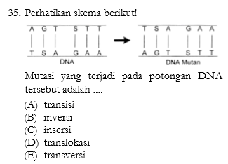 Latihan Soal dan Pembahasan UNBK Biologi tentang Mutasi 2019 - Dewanto ...
