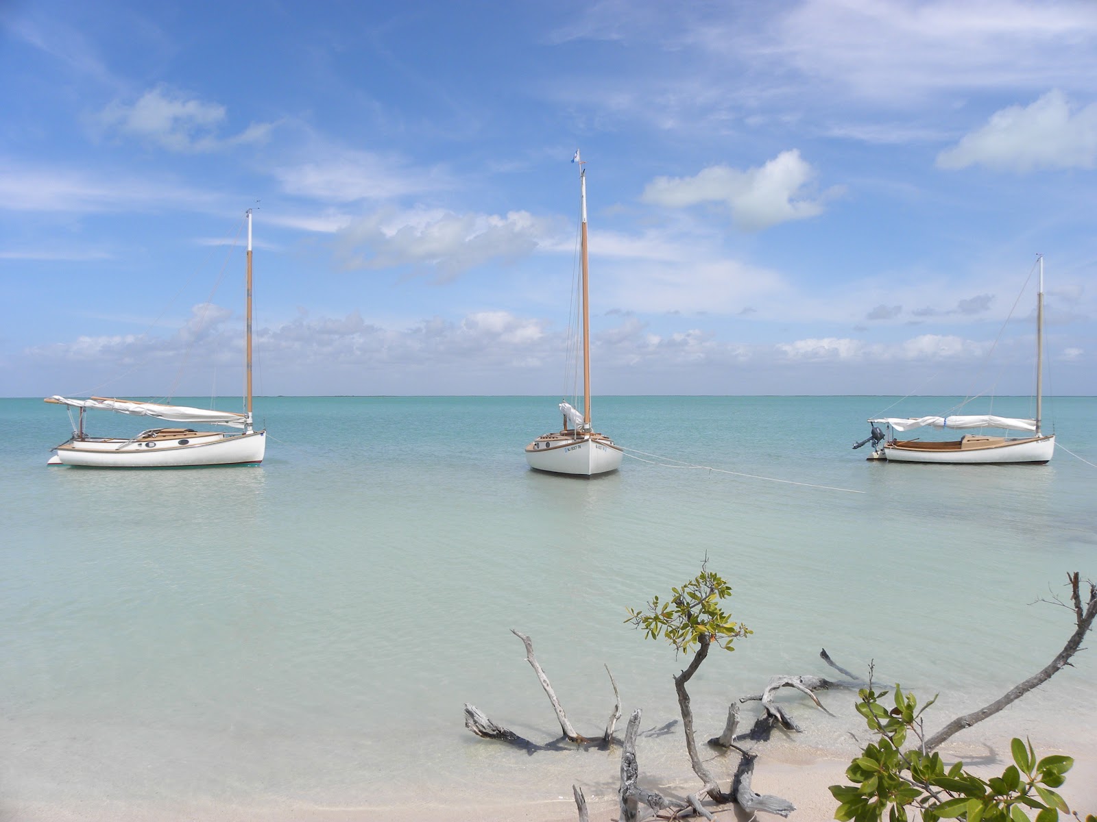 MY LIFE IN THE FLORIDA KEYS AND BEYOND: Another visit to Nest Key