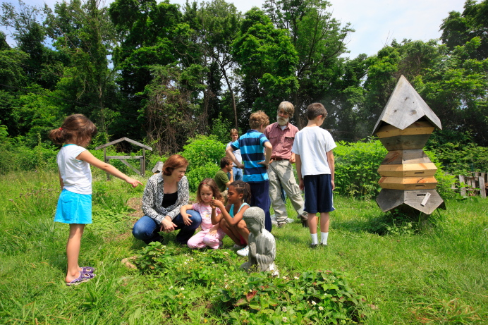 baby bees house: Kid's learning about bees