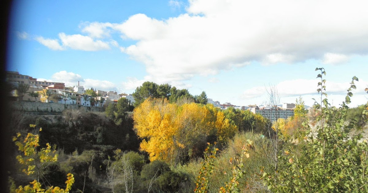 Els colors de la terra: Riu Albaida. La Vall d'Albaida.