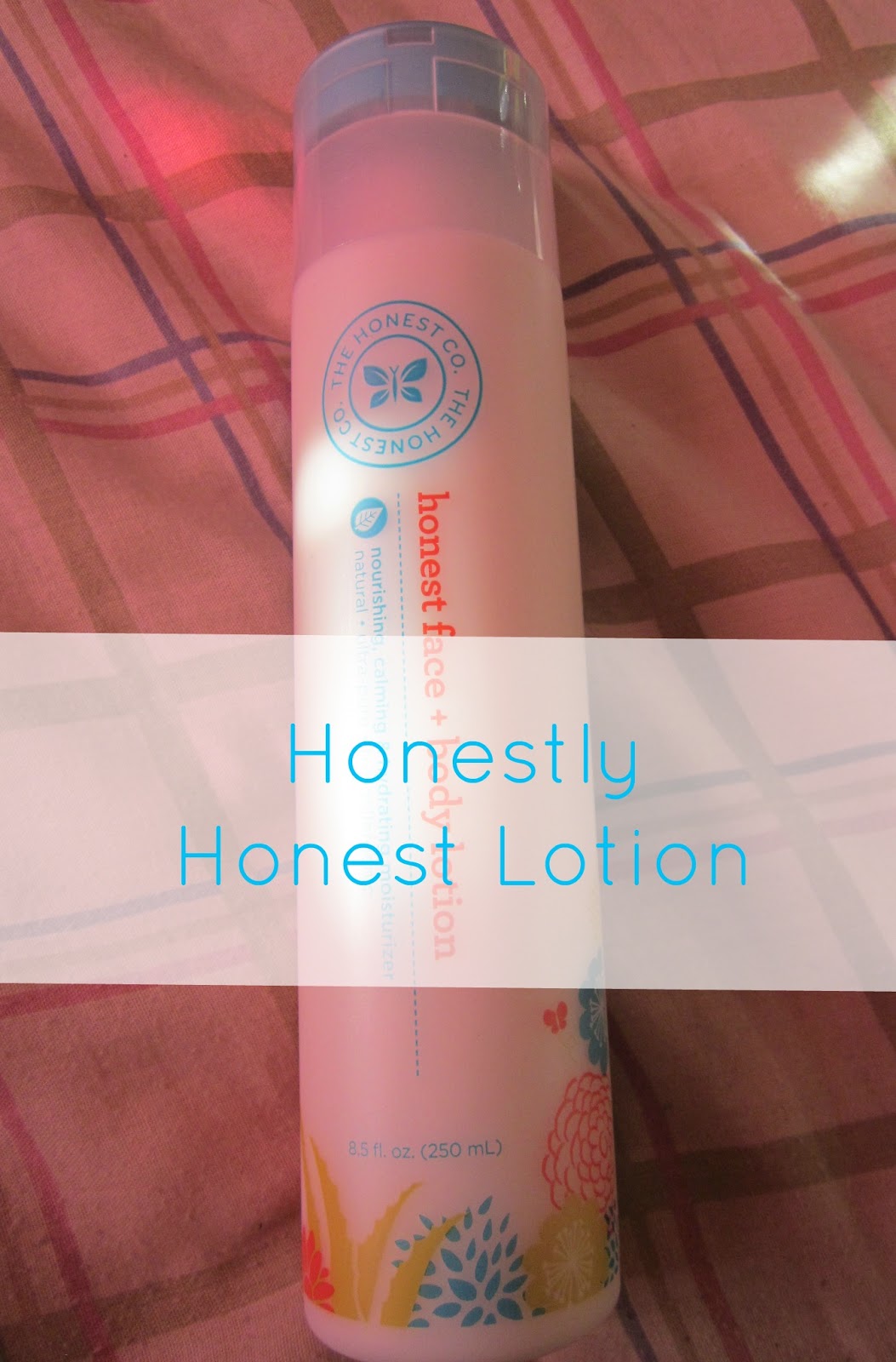 Honestly Honest Face & Body Lotion Review - City of Creative Dreams