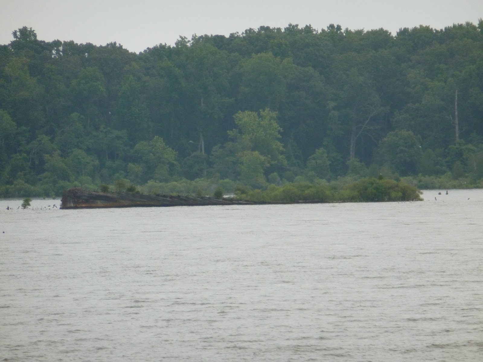 LAZY W: August 1 thru August 11