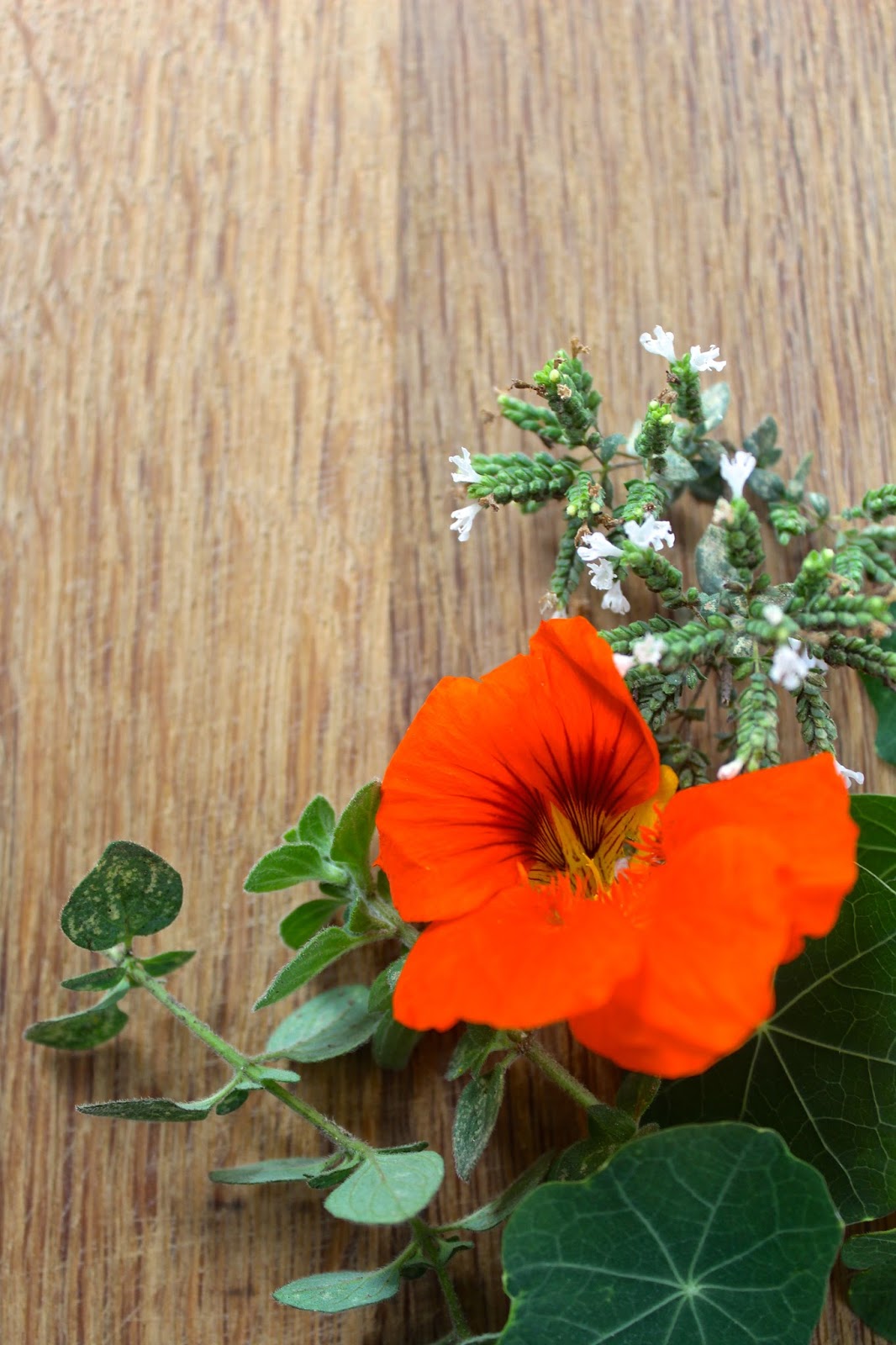Sam Cooks Food: Raw tuna with garden leaves, olives, capers and lemon