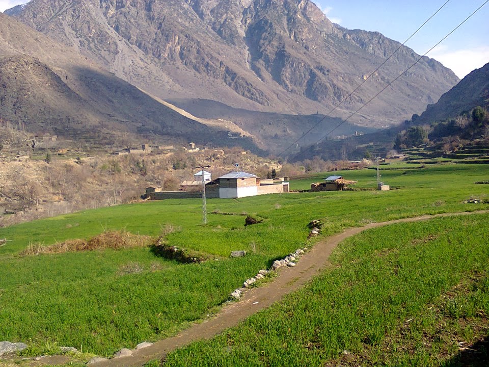 Explore the Beauty of Pakistan: Darel valley District Diamer Gilgit ...