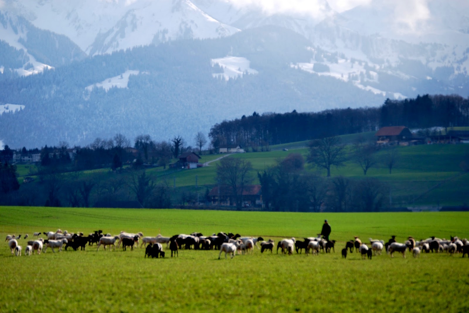 another new "storie": Switzerland: neutrality and nature