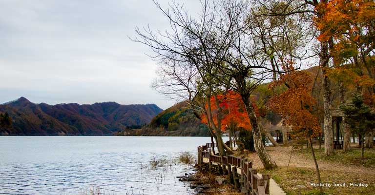 Gapyeong City Tour Bus (Gapyeong Tour Bus) - lookinSeoul