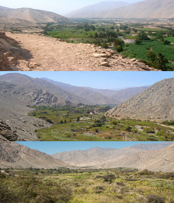 NephiCode: November 2015