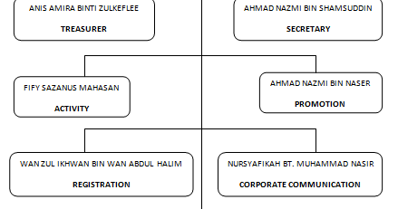 MSU Volleyball Club: ORGANIZATION CHART