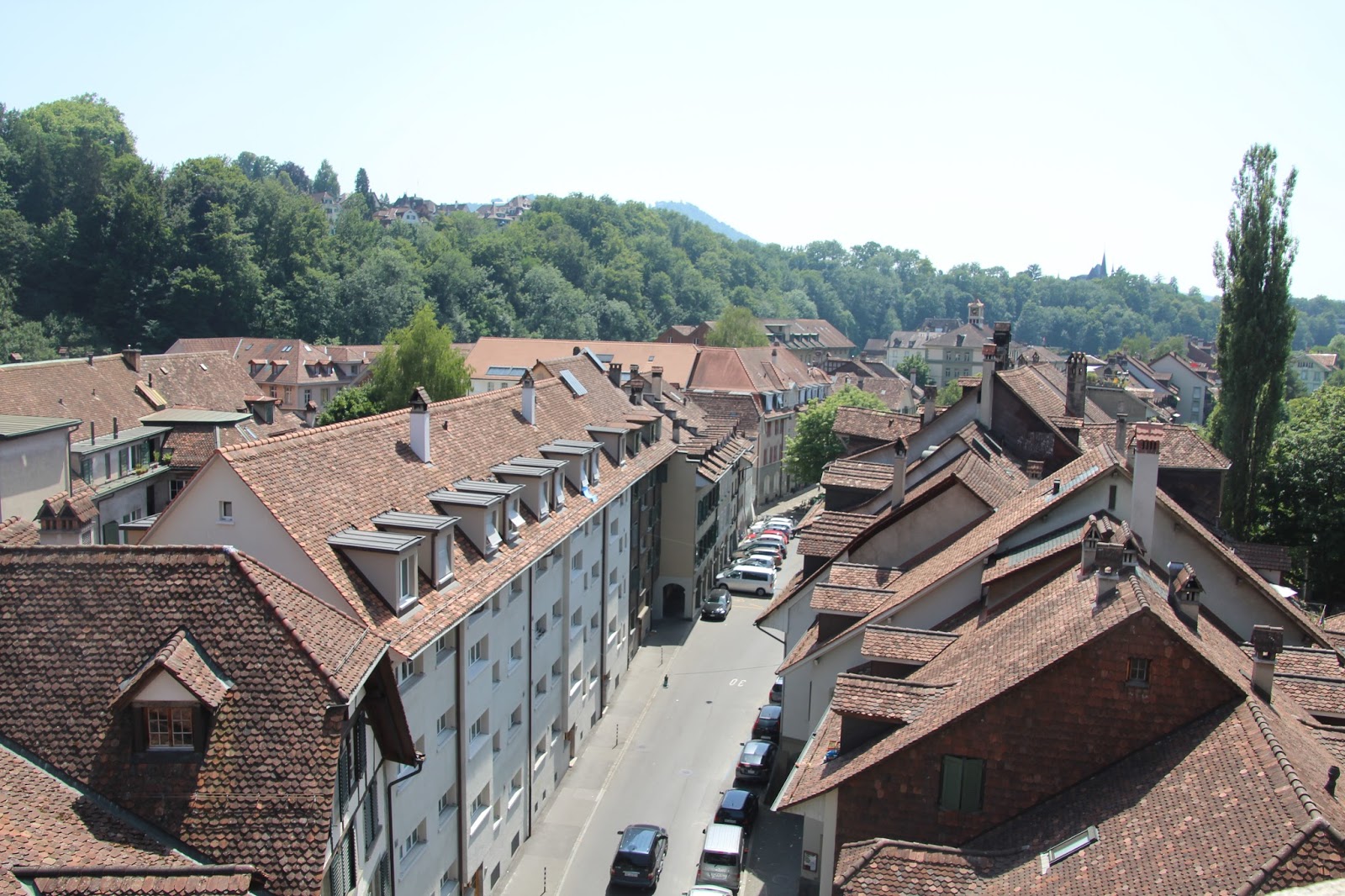 Historia y Genealogía: Berna. Suiza