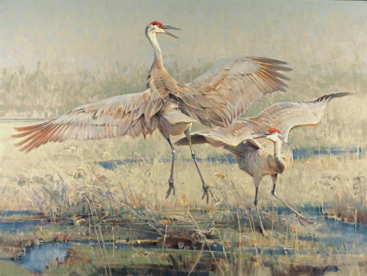 Jim Morgan Art: Current Works