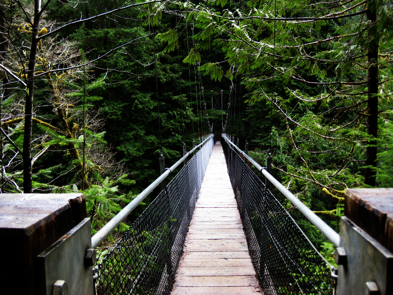 The Adventures of Big Bummed Girl and her Bike: Another Adventure ...