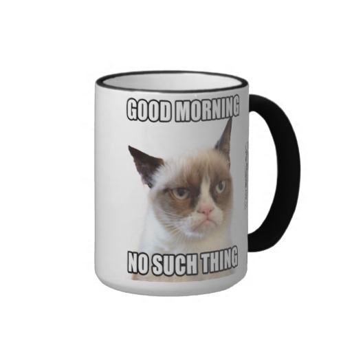 Grumpy Cat Good Morning | Funny Collection World