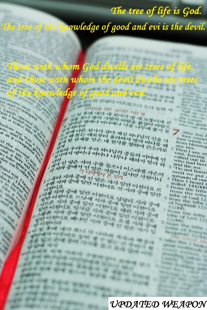 Peace in the Bible: Shincheonji Teaching: Tree of Life and Tree of ...