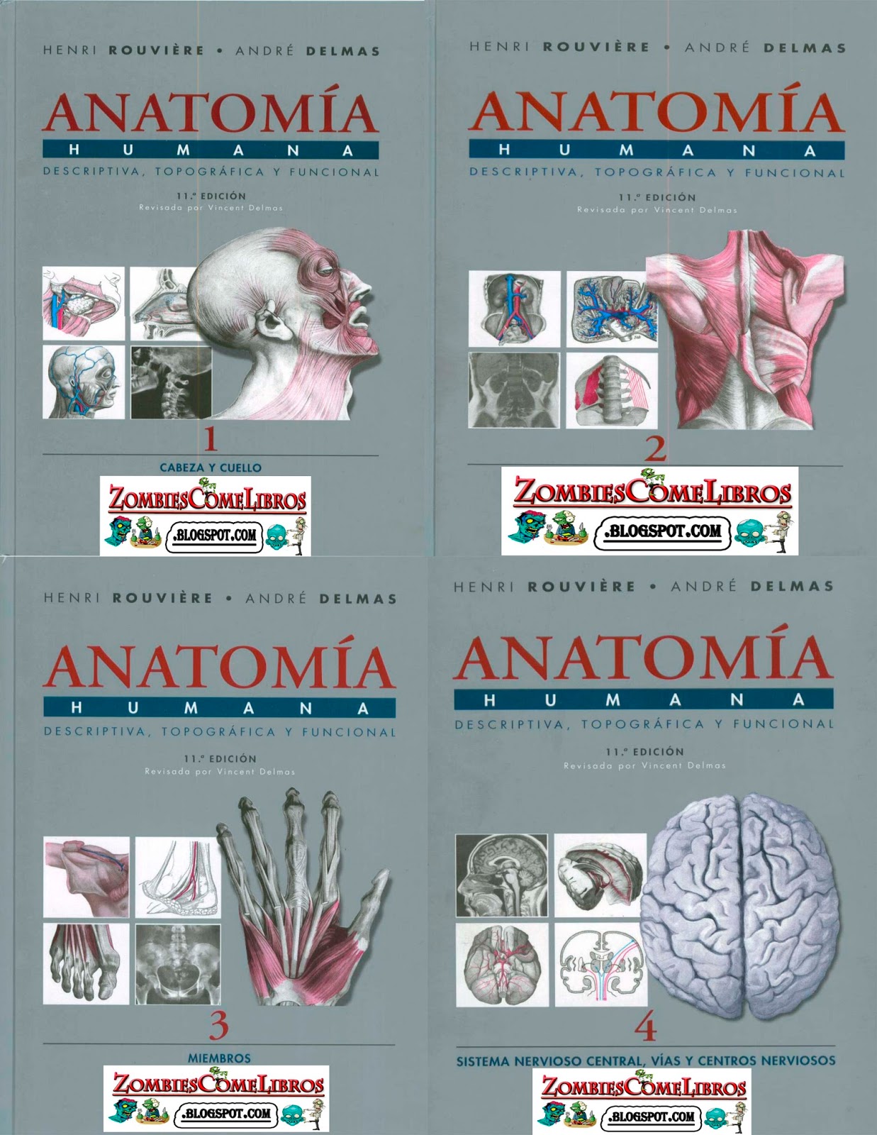 Anatomía de Henri Rouviere (4 tomos) - ZombiescomeLibros