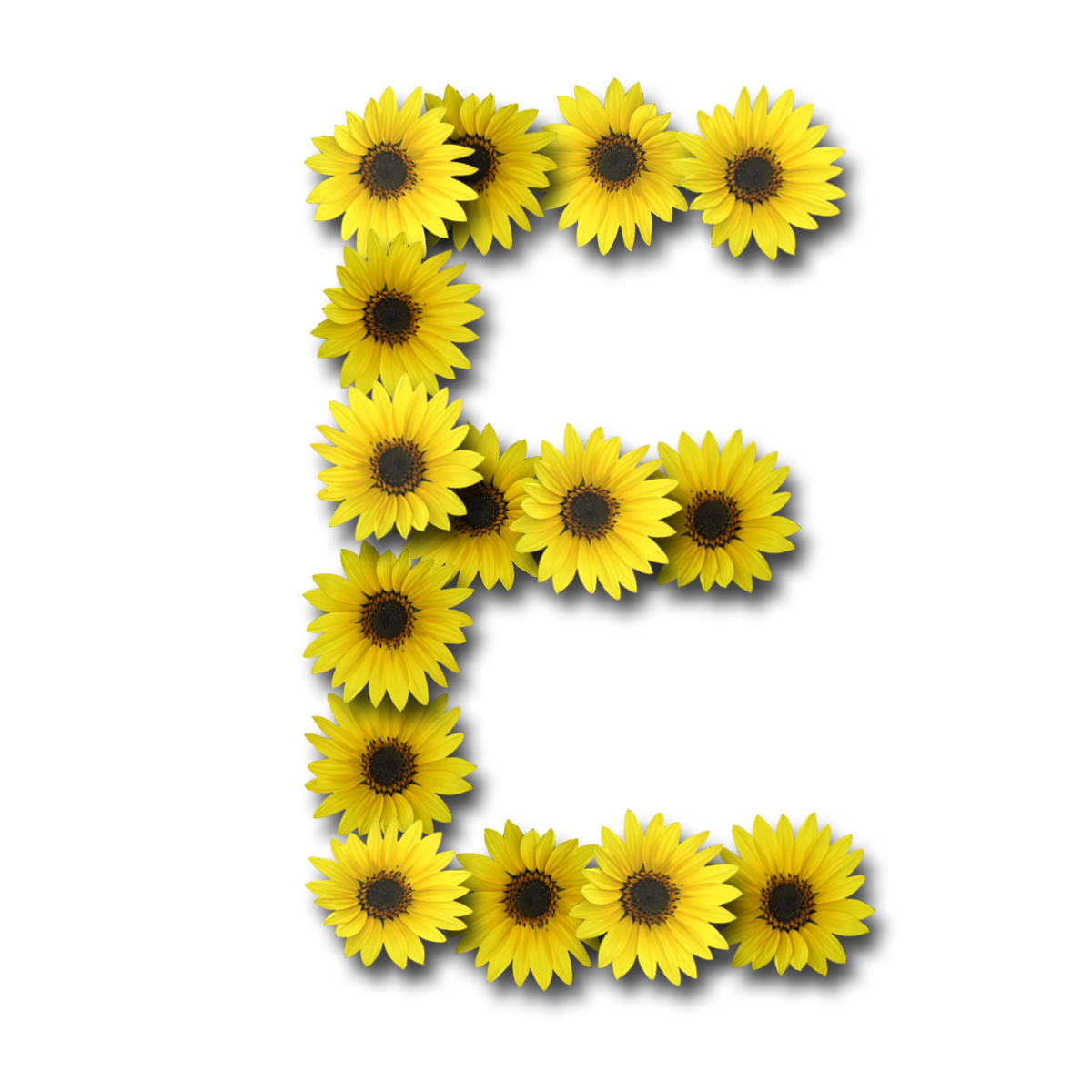 Granny Enchanted s Digital Scrapbook Library FREE SUNFLOWER DIGI granny-enchanted-s-digital-scrapbook-library-free-sunflower-digi