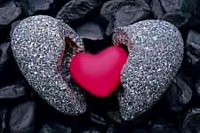 Homeless in America: Lord, Give Me a Heart of Flesh