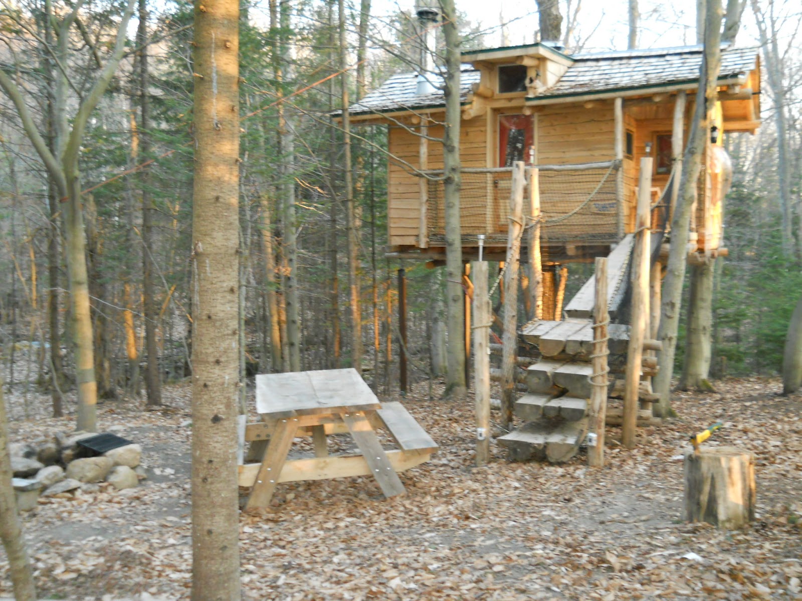 Canadian First Nations woodcarving tools and a beautiful treehouse ...
