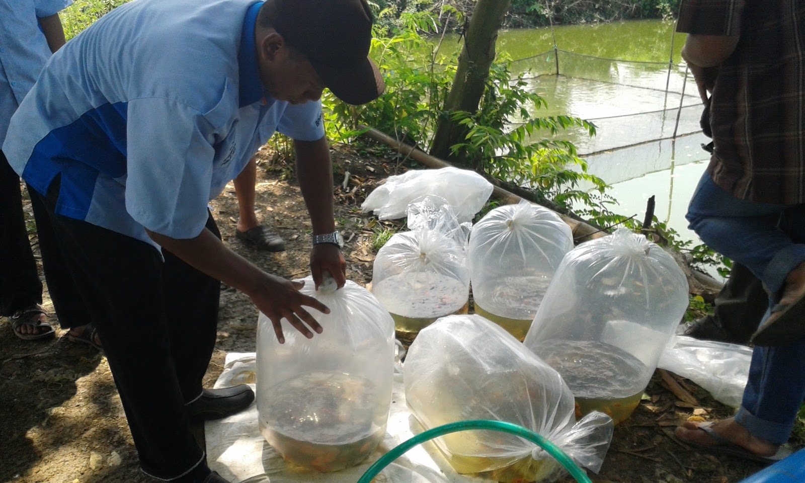 SISTEM PENGANGKUTAN IKAN HIDUP TEKNIK BASAH DAN KERING ~ MEDIA ...