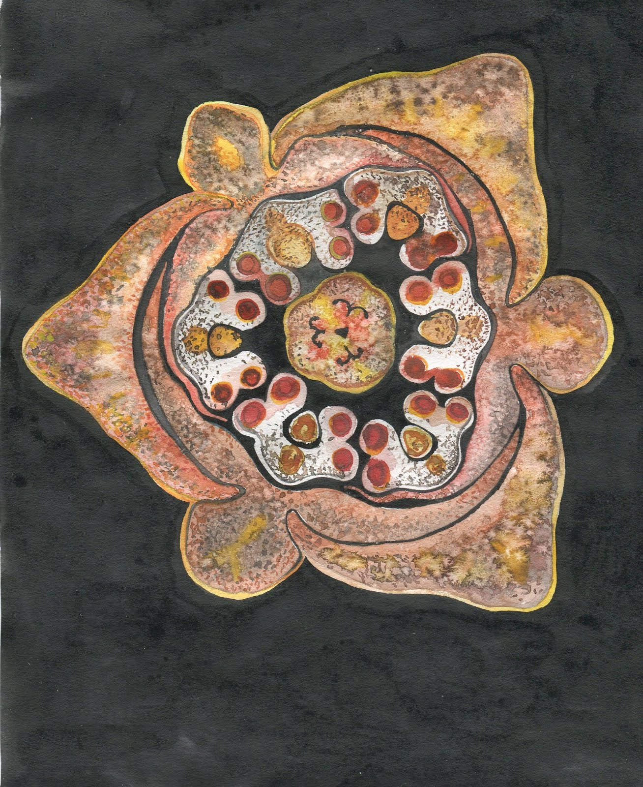 Cross-section of a lily bud under a microscope - Julia Rockina