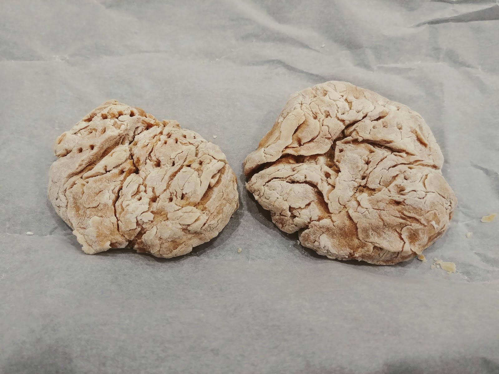 Ben's Journal: Eating Hardtack / Ships Biscuit - An Experiment A Year ...