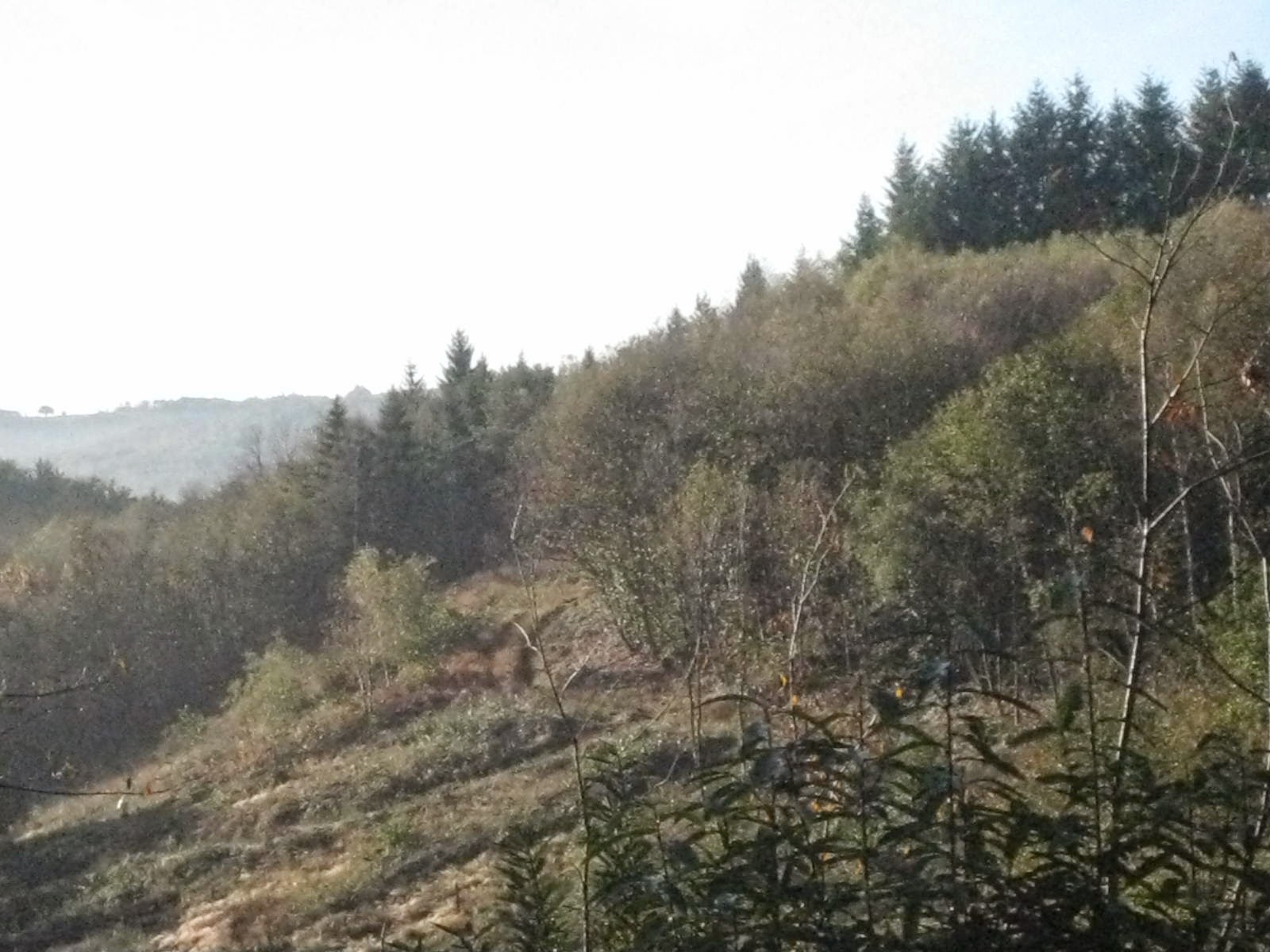 Bourdoux (Jumilhac-le-Grand, Dordogne): 2014