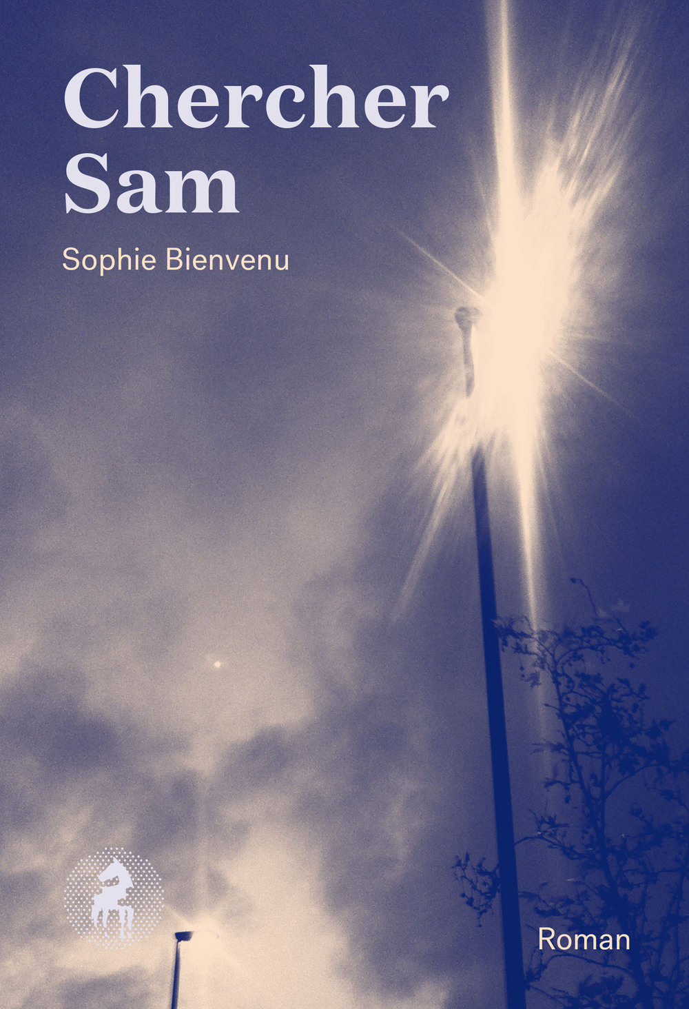 Impressions sur livres: Chercher Sam, par Sophie Bienvenu, éditions ...