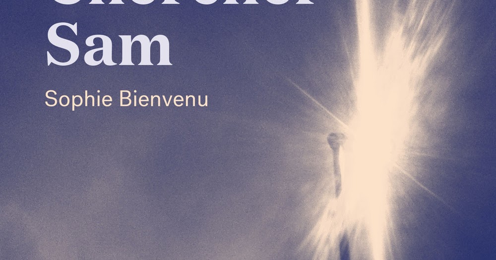 Impressions sur livres: Chercher Sam, par Sophie Bienvenu, éditions ...