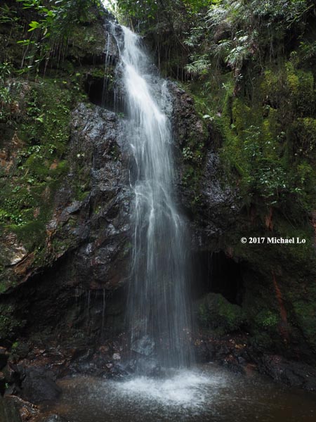 The rainforests of Borneo & Southeast Asia: Sandstone mountain of ...