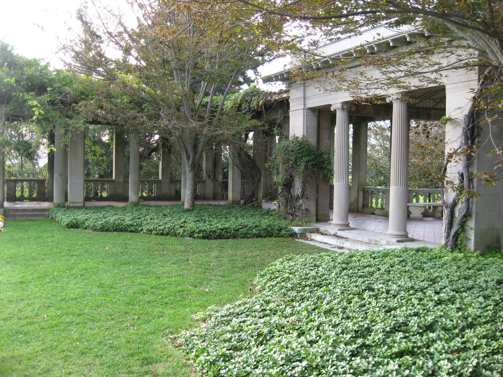 Windswept at the Beach: Butterflies Galore at Harkness Memorial State ...