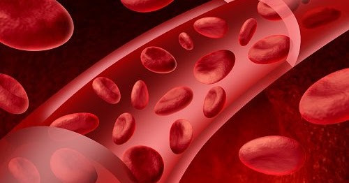 Fisiologia em Ação: Coagulação Sanguínea