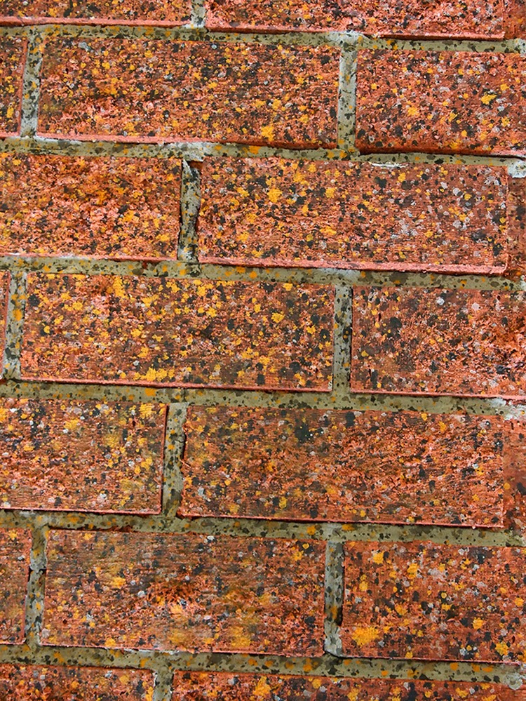 World by Design: Spatter is Magical Visual Texture