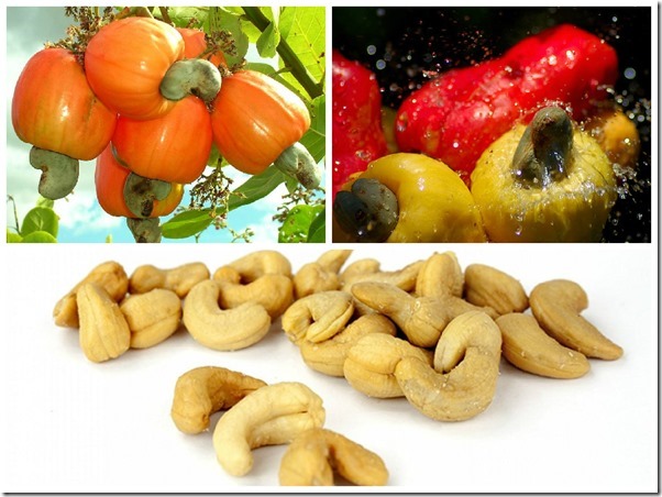 JOSEPH CACERES: A chupar se ha dicho...