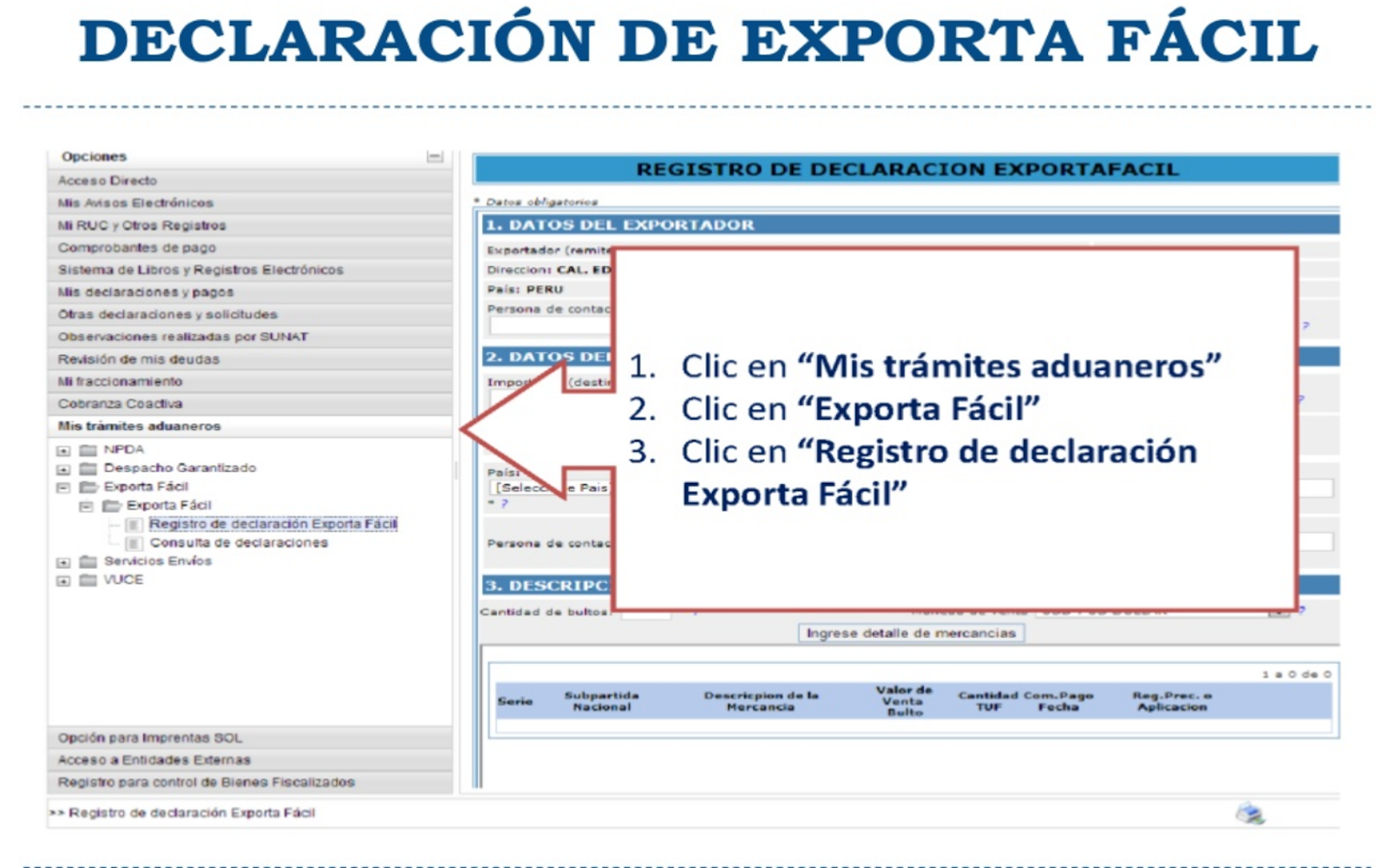 EXPORTA FÁCIL - Comercio Internacional