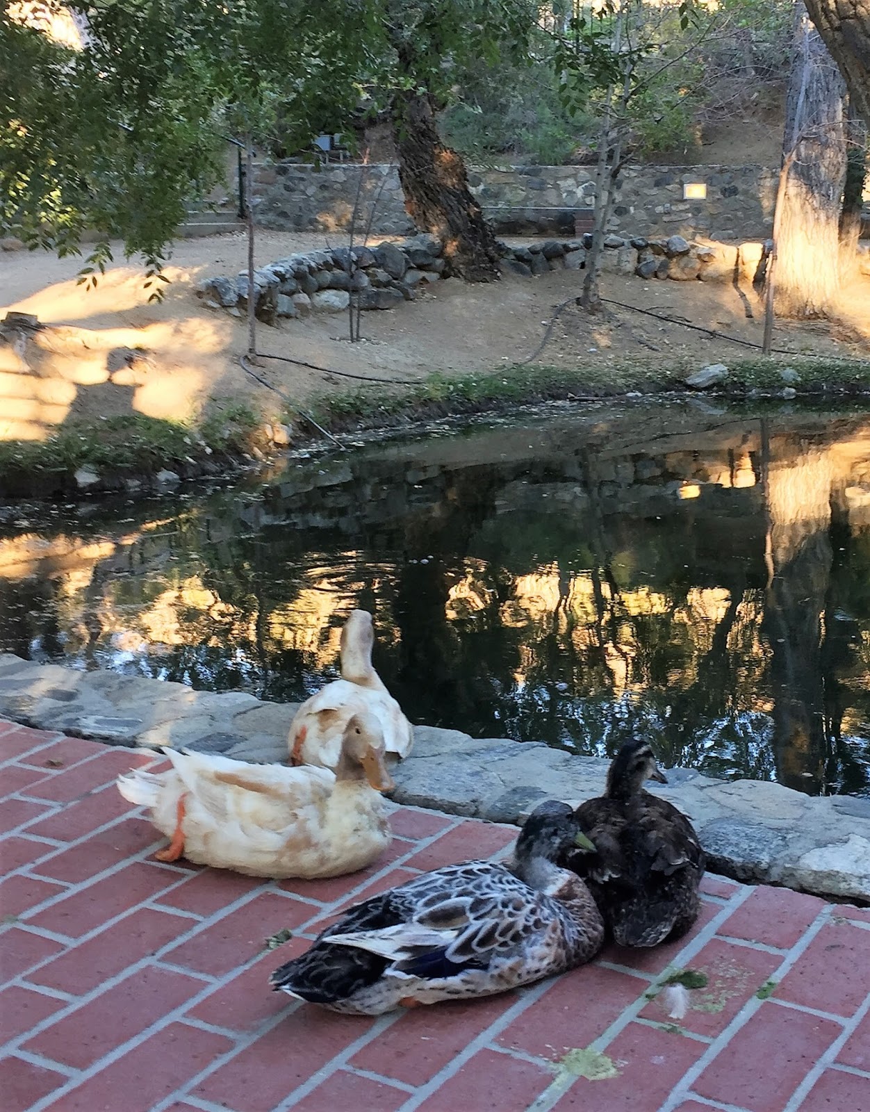 Souvenir Chronicles: VALYERMO, CALIFORNIA: ST. ANDREW'S ABBEY AND A ...