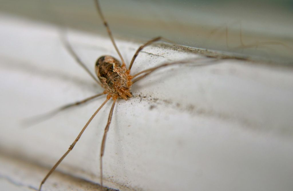 Promoting Research Investigations in the Marine Environment: Zac ...